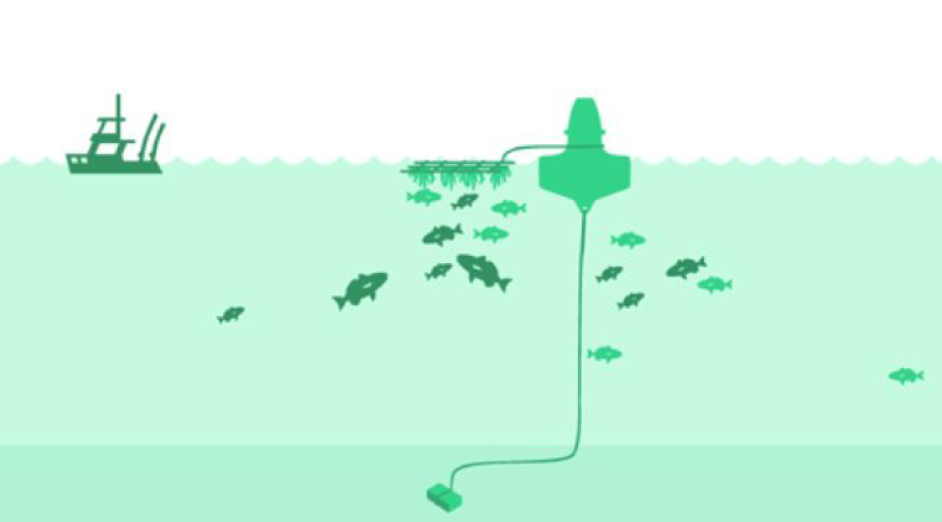 Sustainable fishing – UCADatalab